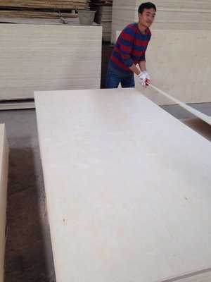 Hot sell good price pine Plywood factory direct prices