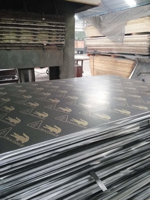 Good Quality Film Faced Plywood Supplier from China, Film Faced Construction Plywood, Concrete Formwork In Construction