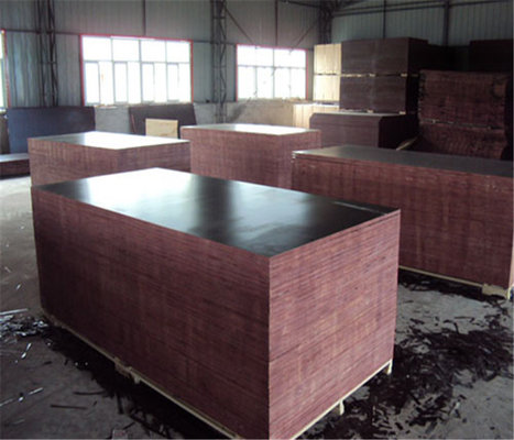 Hot Selling 15mm Black/Brown/Red Film Faced Plywood from china
