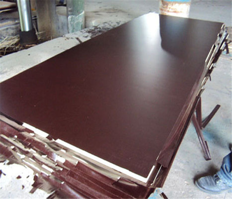Hot Selling 15mm Black/Brown/Red Film Faced Plywood from china
