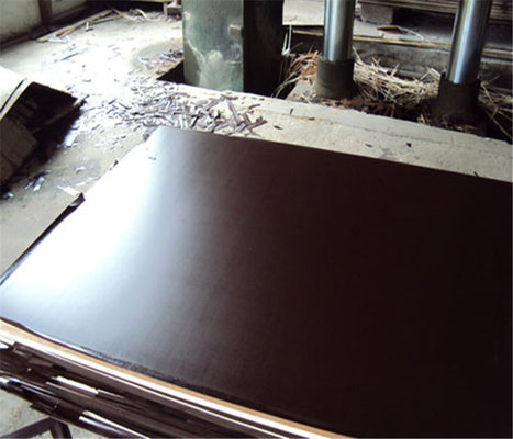 Hot Selling 15mm Black/Brown/Red Film Faced Plywood from china