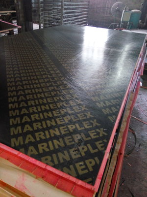 Cheap price black film WBP Glue Finger Joint Cheap Film Faced Plywood