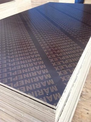 2018 new style film faced plywood sheet standard size philippines for furniture