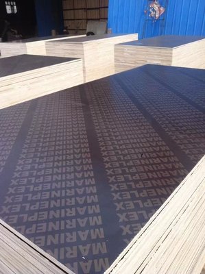 2018 new style film faced plywood sheet standard size philippines for furniture