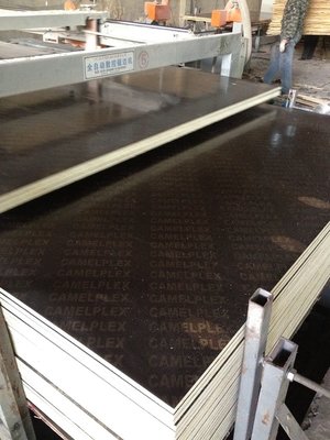 Black film Poplar Core 12mm 15mm 18mm Film Faced Plywood