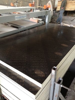 Black film Poplar Core 12mm 15mm 18mm Film Faced Plywood
