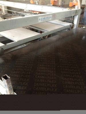 Black film Poplar Core 12mm 15mm 18mm Film Faced Plywood