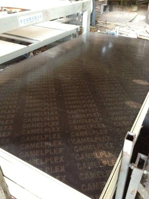 Black film Poplar Core 12mm 15mm 18mm Film Faced Plywood