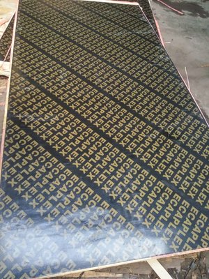 Hot sale Film Faced Plywood For Construction Material from china
