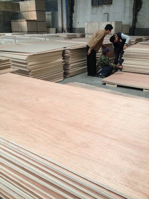 China manufacturer sales top quality poplar commercial plywood