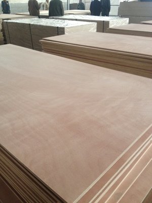 Factory direct selling plywood bintangor face poplar core good quality with competitive price.