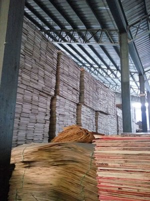 Factory direct sale finger joint core film faced plywood for construction