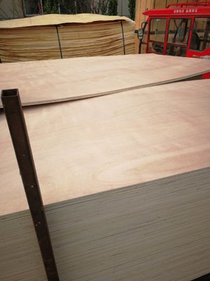 1220X2440X21mm Poplar Veneer Sheet Marine Commercial Plywood