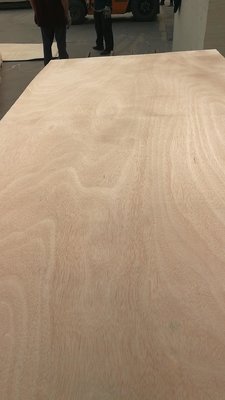 1220X2440X21mm Poplar Veneer Sheet Marine Commercial Plywood