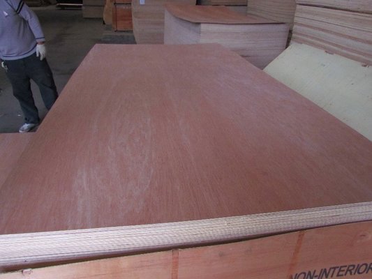 Cheap prcie 4'x8' Poplar Core E0 Glue Plywood for Making Furniture