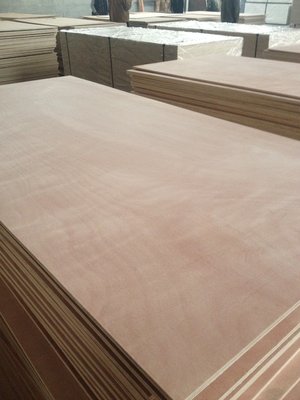 Okoume Bintangor Face E2 Glue Poplar Core Commercial Plywood
