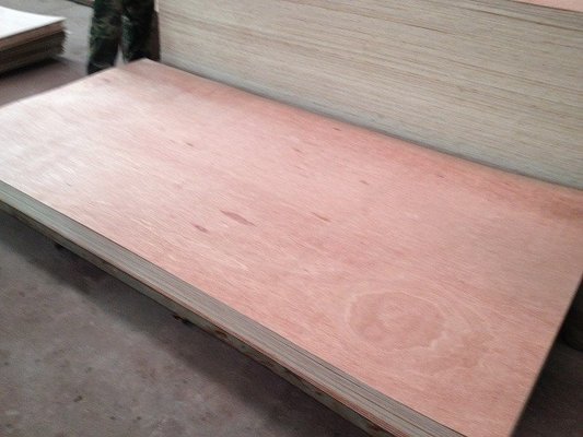 Bintangor face Polar Core Commerical Plywood for Packing From China