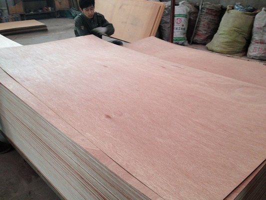 Bintangor face Polar Core Commerical Plywood for Packing From China
