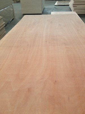 Bintangor face Polar Core Commerical Plywood for Packing From China