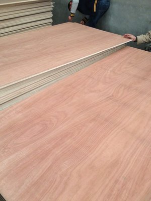 Bintangor face Polar Core Commerical Plywood for Packing From China