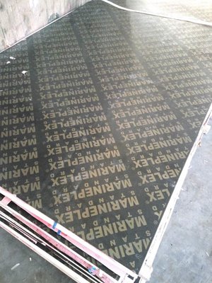 Black film Poplar Core Film Faced Plywood for Construction /Outside