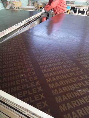 Black film Poplar Core Film Faced Plywood for Construction /Outside