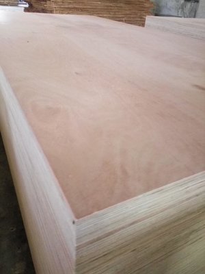 Plywood Prices /Plywood Sheet /Waterproof Plywood for Furniture, Packing and Pallets