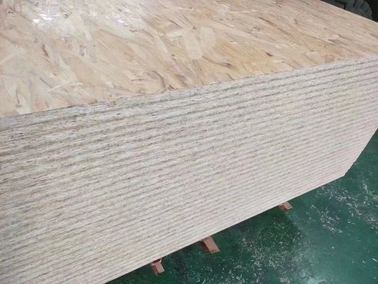 Glue WBP Thickness 8-18mm Density 660-700kgs/Cbm OSB