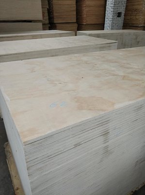 Hot sale Good Price Okoume/Bintangor/Poplar Commercial Plywood