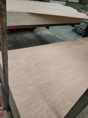 Hot sale 3.0mm Furniture grade bintangor face commercial plywood
