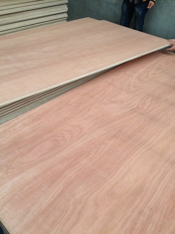 Bintangor face Polar Core Commerical Plywood for Packing From China