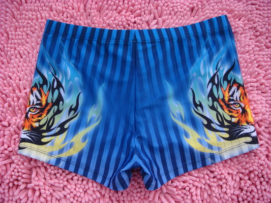 Quality waterproof swimming brief shorts men swimsuit male swimsuit XXXL quick drying mens swim swimming trunks supplier