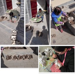 Shaanxi Beauty Arts & Crafts Co., Ltd