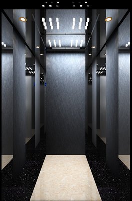 China Gearless Residential Villa Panoramic Sightseeing ObservationCar Goods Cargo Home Passenger Elevator Lift
