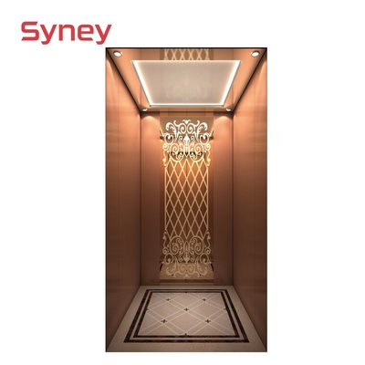 China Passenger Product Panoramic Sightseeing Glass Freight Goods Villa Car House Home Lift Residential Elevator
