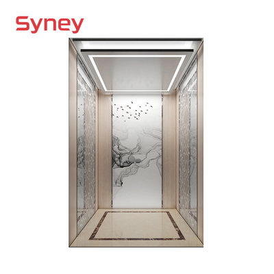Passenger Product Villa Home Panoramic Freight Cargo Car Goods Hospital Sightseeing Glass Residential  Elevator Lift