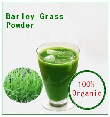 JAS USDA EU  Organic Barley Grass Powder  Pure Natural 200mesh Real Manufacturer