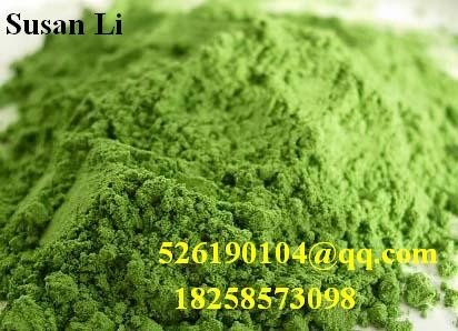 Dehydrated Wheatgrass Powder Food Grade Triticum vulgare L. Fair Price
