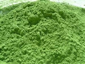 Manufacturer Direct Sale Grade A  Green Barley grass powder   Health Ingredient Nutritional add-in