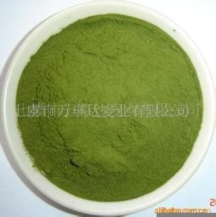 100%Purity Quality Alfafa Powder China Origin Wholesale