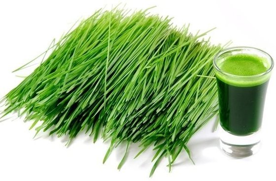Super Green  Organic Young Barley Grass Powder Health Care Product Factory Sale