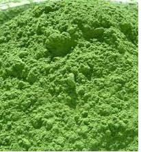 Super Green  Organic Young Barley Grass Powder Health Care Product Factory Sale