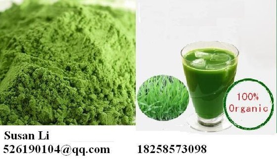 Super Green  Organic Young Barley Grass Powder Health Care Product Factory Sale