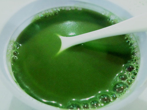 Quality Organic  Barley Grass Powder JAS EU NOP certified Good Color Factory Direct Sale