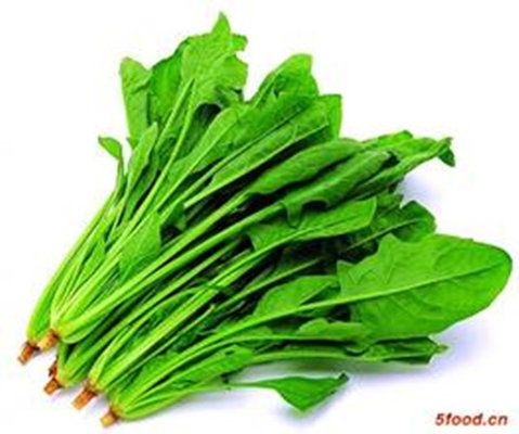 Top Quality 100% Pure Spinach Powder Vegetable Powder Raw Food Factory Bulk Sale