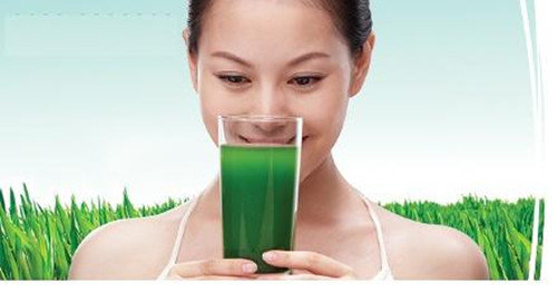 Grade A  Barley Grass Powder Organic Certified for Health Food Real Manufacturer