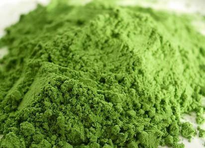 Freshly Made 120mesh Pure Barley Grass Powder for Health Care Supplement