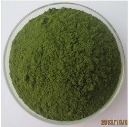 Food Grade Dietetic Drink Wheat Grass Juice Powder Professional Supplier