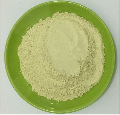 Kosher Certified Kale Powder Dehydrated Kale powder Manufacturer Sale