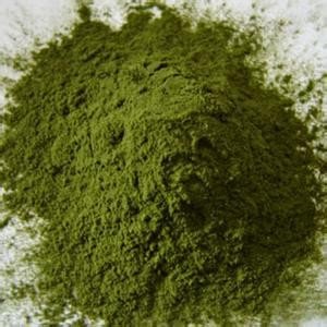 Alkaline Dietary Supplement Green Food Alfalfa Grass Juice Powder Extract Powder